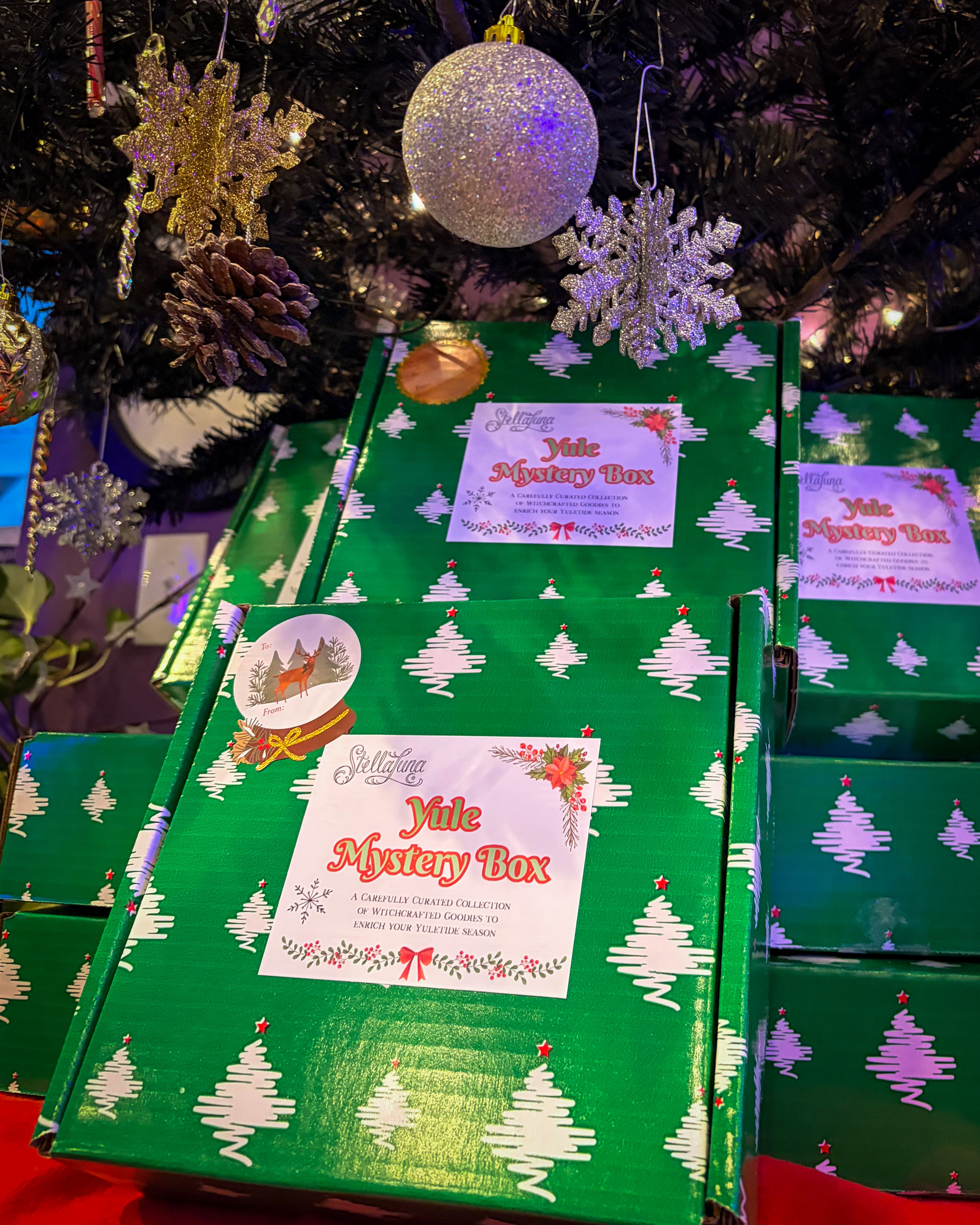 Mystery Box Yule 2025 Edition – StellaLunaLLC